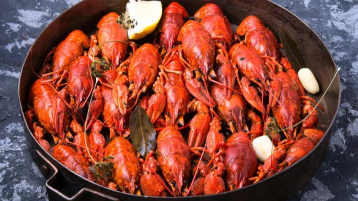 MasterChef'ler toplanın: Kerevit nedir, nasıl yenir, faydaları nelerdir ...